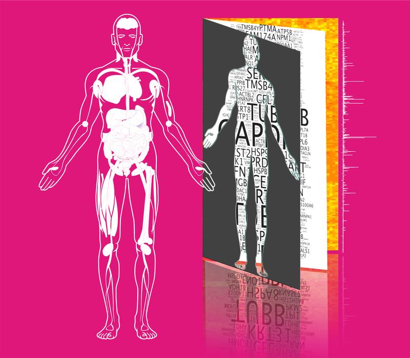 Proteomik - Münchner Forscher entschlüsseln die Geheimnisse der Eiweiße ...